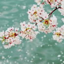 爱玩游戏的大语 