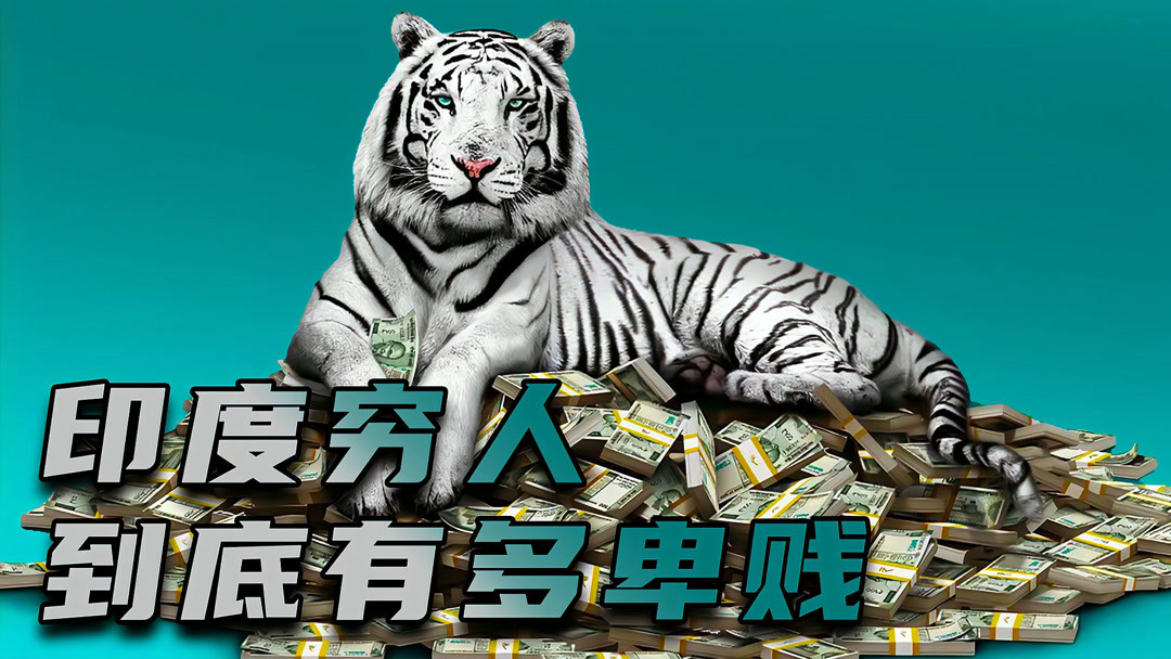印度版寄生虫,穷人到底有多卑贱,贫富差距悬殊太可怕《白虎》