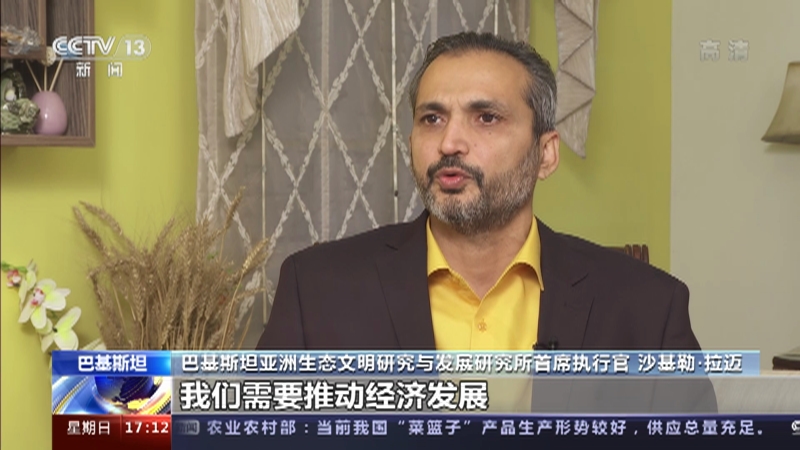 [新闻直播间]亚太经合组织第二十九次领导人非正式会议 国际人士:团结...