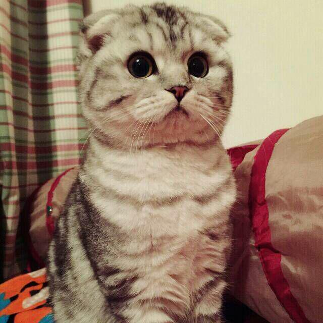 你来我陪你一生 