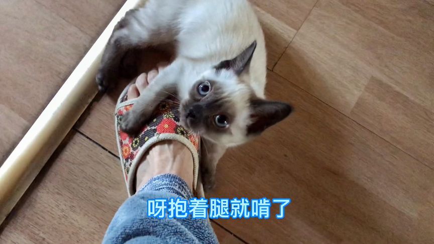 每天早晨推开门,外出回家开开门,总有一幕温情的仪式感等着我。