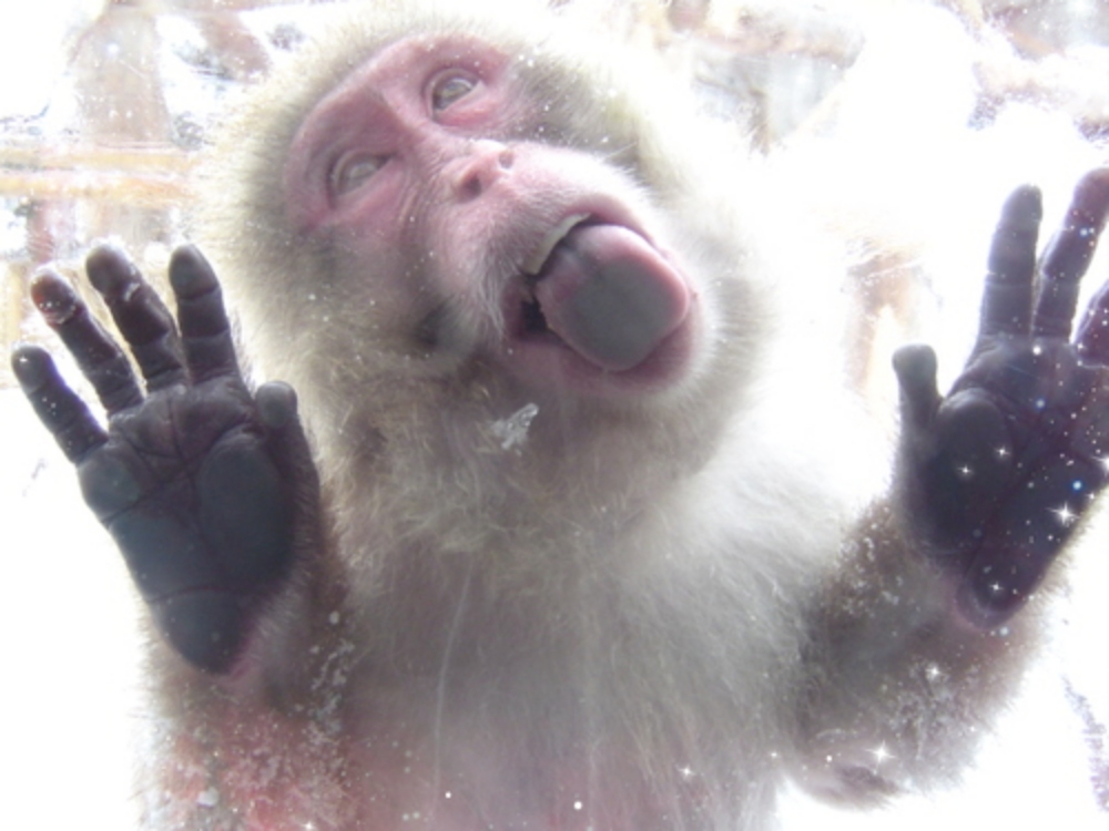 刘姥姥的小娱乐 