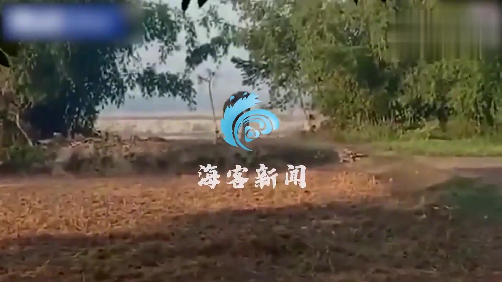 印度男子躲避大象追捕时跌倒惨遭一脚踩上命悬一线惊险瞬间曝光