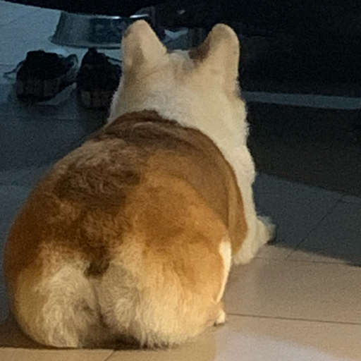 美丽的方面便hhh 