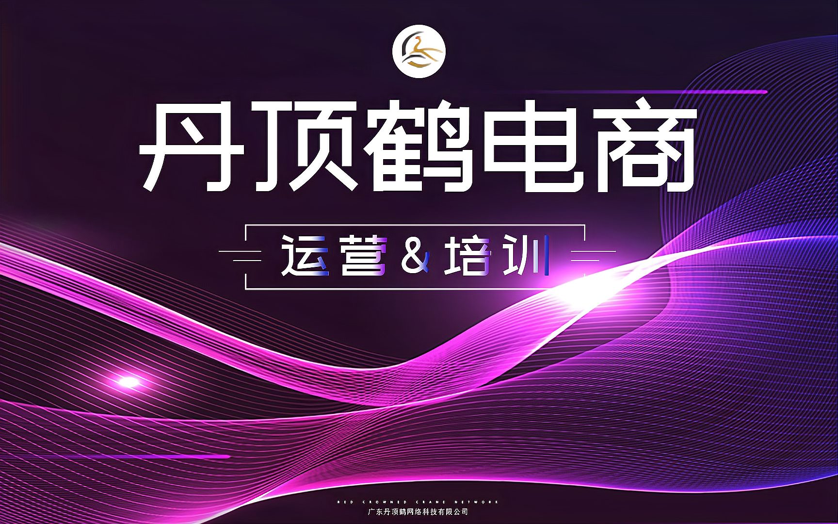 在线电商培训之第345集详细介绍目前主流各类电商