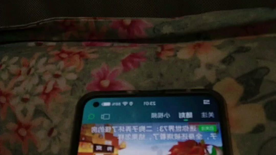 迷你二狗子