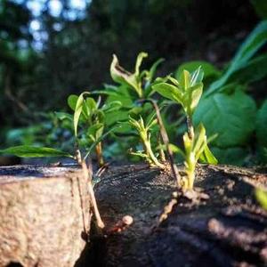 简简单单学数学 