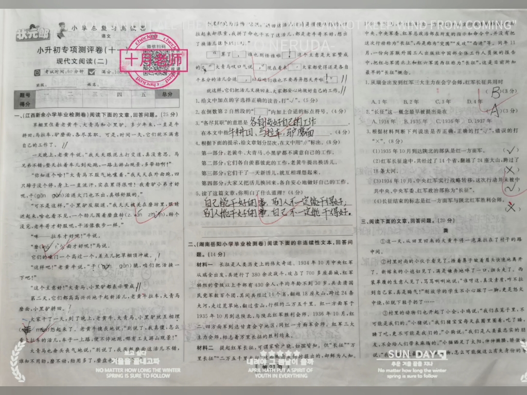 六年级小升初语文现代文阅读理解题专项练习试卷