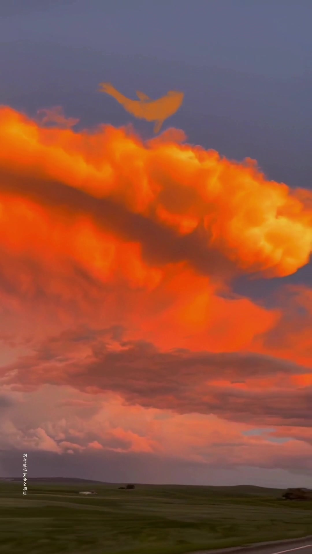 ...英伟达控制面板...