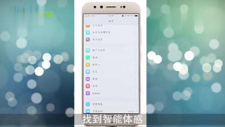 Vivo手机缩放怎么设置