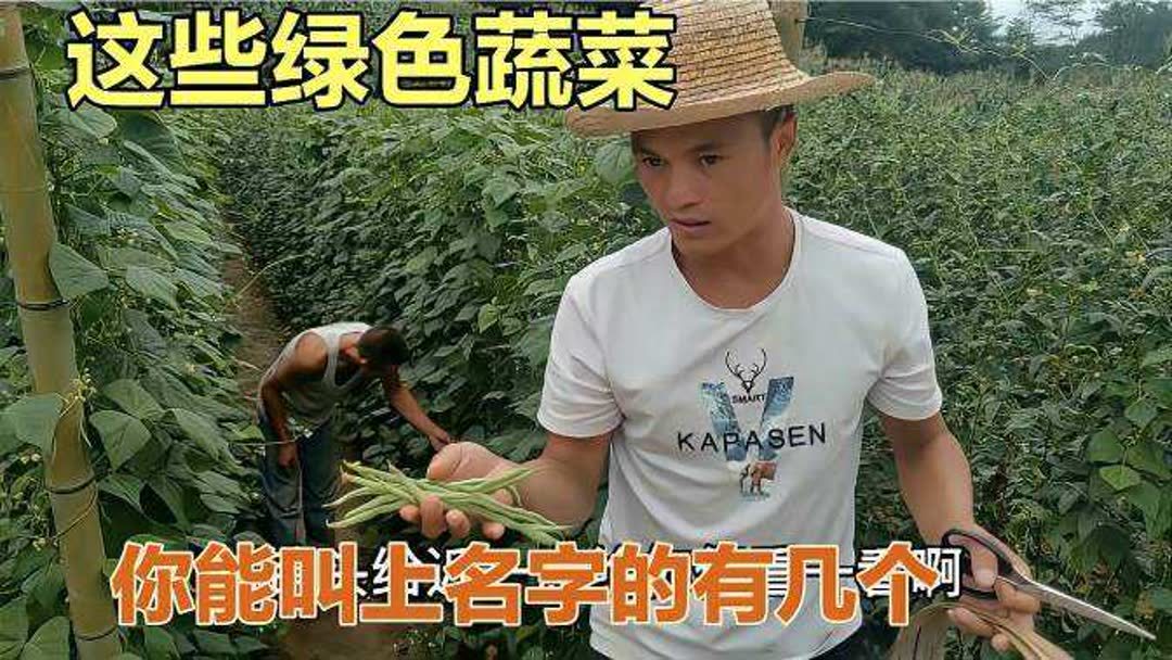 小伟今天大粉丝家人见识一下,让小伟就特别好奇,很多人都没见过