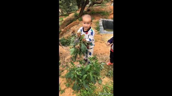 杨梅山管理
