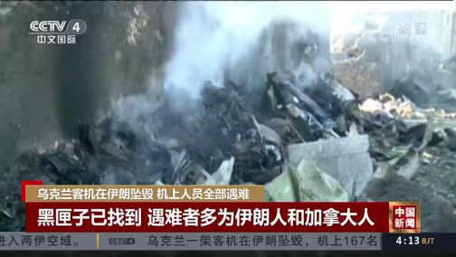 [中国新闻]乌克兰客机在伊朗坠毁 机上人员全部遇难