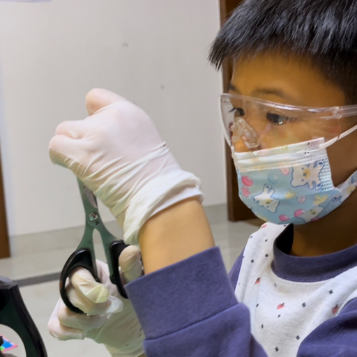 爱玩积木的轩轩 