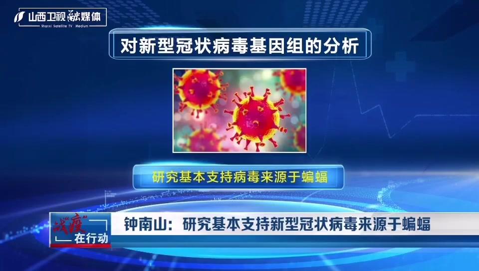 新型冠状病毒来源于蝙蝠!别再吃野味了!#山西 #战胜疫情dou行动 #...