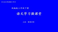 13《花钟》第一课时