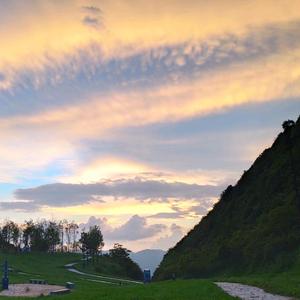 勒是青蛙的鹦鹉 