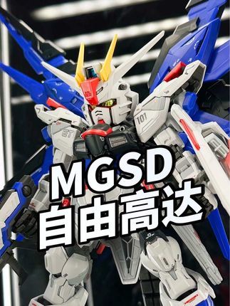 SD大小MG结构的自由高达#模型 #手办 #拼装模型 #高达 #高达模型