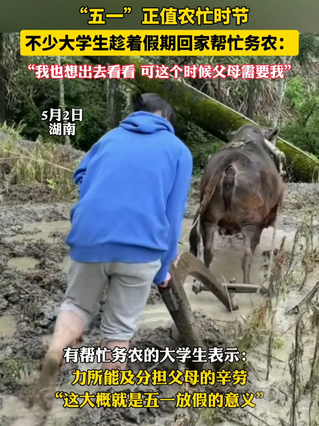 我多干一点,父母就少累一点。这就是劳动节的意义吧…