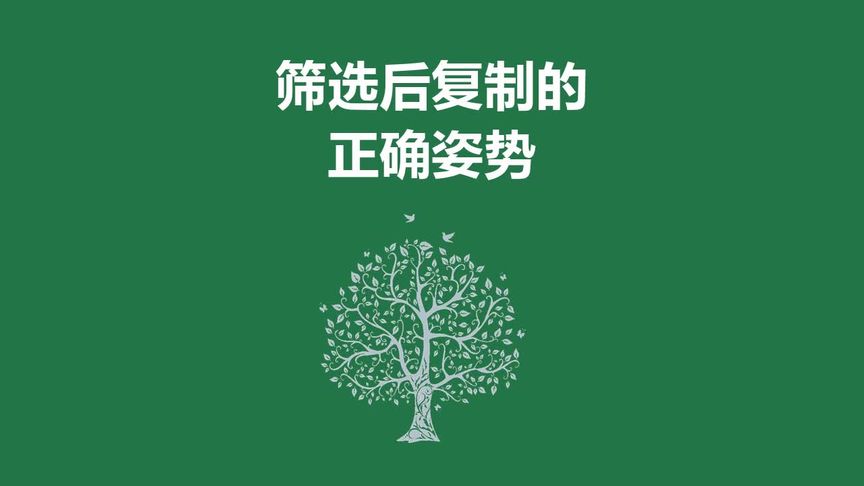筛选后复制的正式姿势