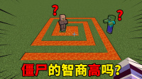 我的世界:不灵姐说模组 第6集 僵尸的智商有多高?