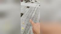梁式基础板筋零基础学习