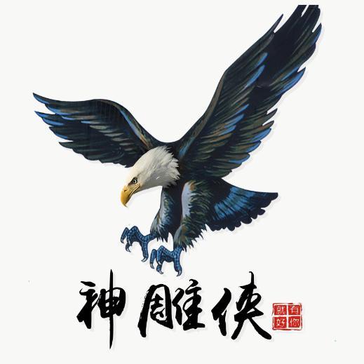 金丝熊 