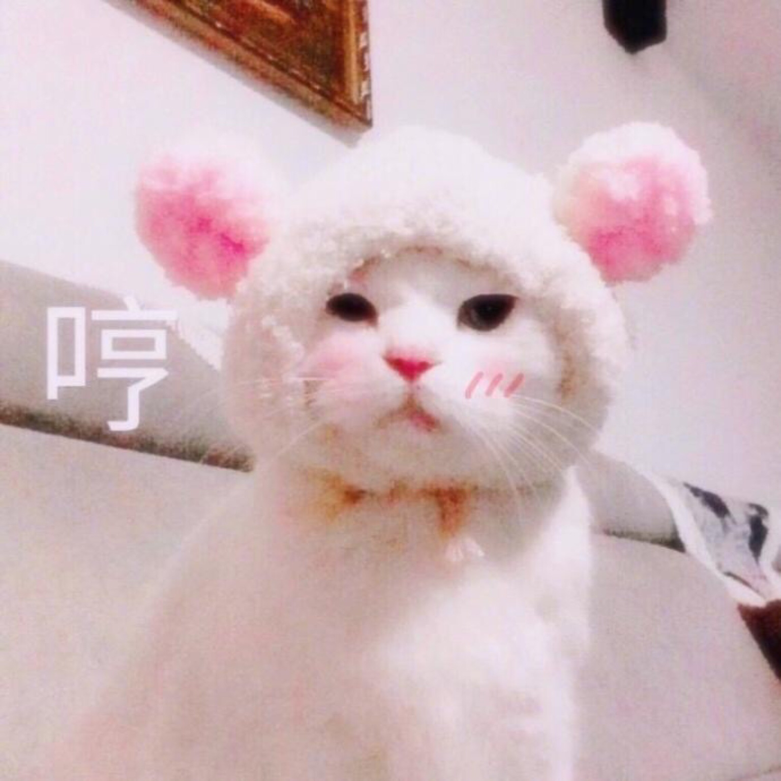 温故而知嬉 