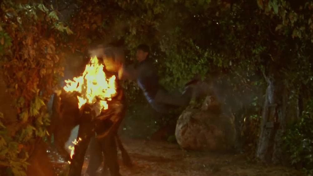 林正英感觉情况不妙,僵尸烧掉了身上的符纸