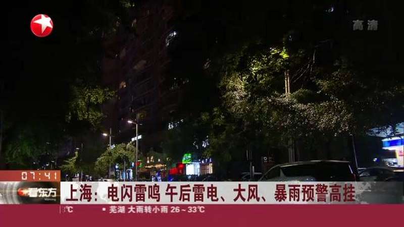 上海:电闪雷鸣 午后雷电、大风、暴雨预警高挂