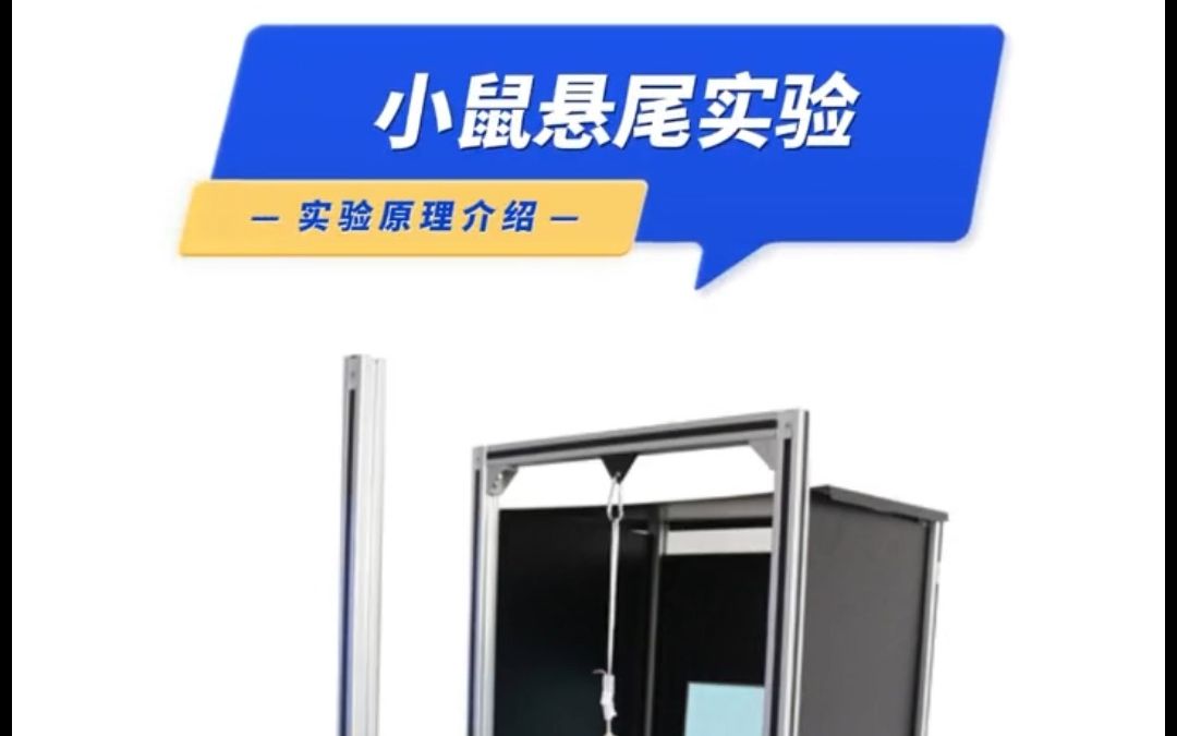 行为学实验:悬尾实验视频分析系统