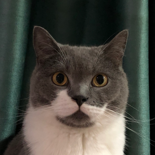 BALLAD钢琴工作室 