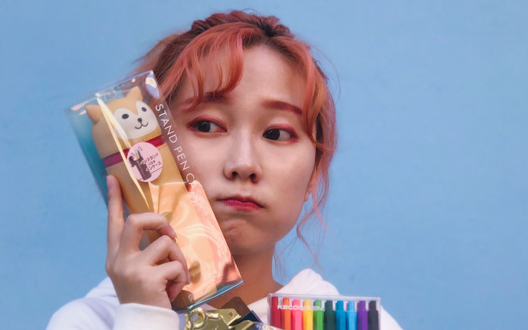 我的钢笔全世界最萌!