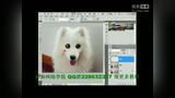 PS cs5简单表情制作基本基础视频教程