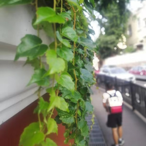 疯狂物理 