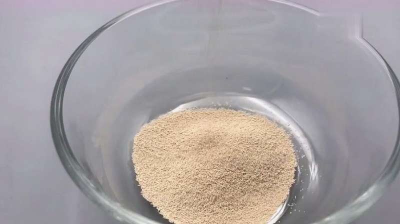 家里有酵母的必看,其中好多人都记错了,现在知道还不晚