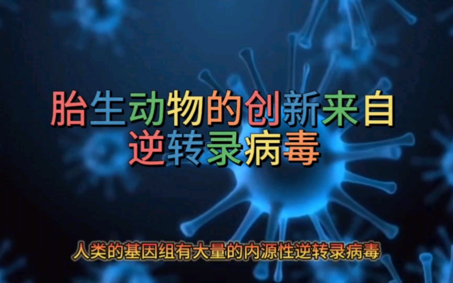 胎生动物的创新来自逆转录病毒