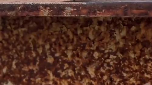 这到底是什么黑科技,居然可以把钉子钉在地上,而且还是很牢固的那种