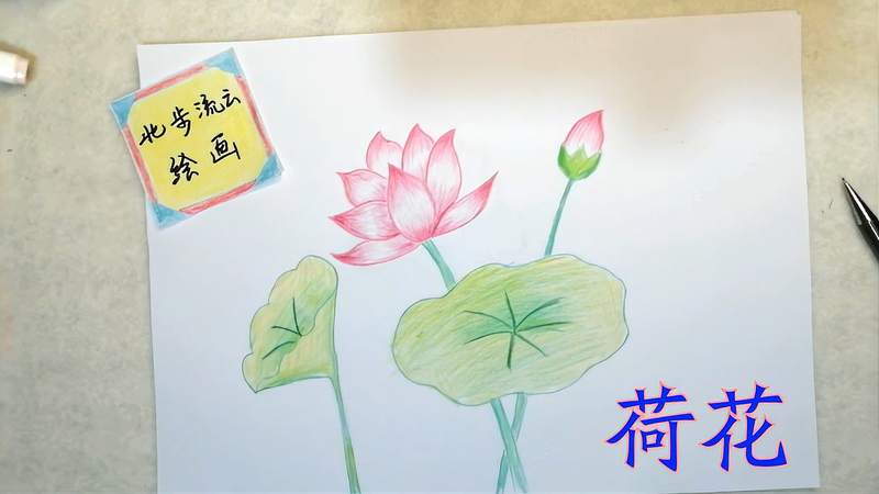 画1幅彩铅荷花,简单易学的儿童简笔画