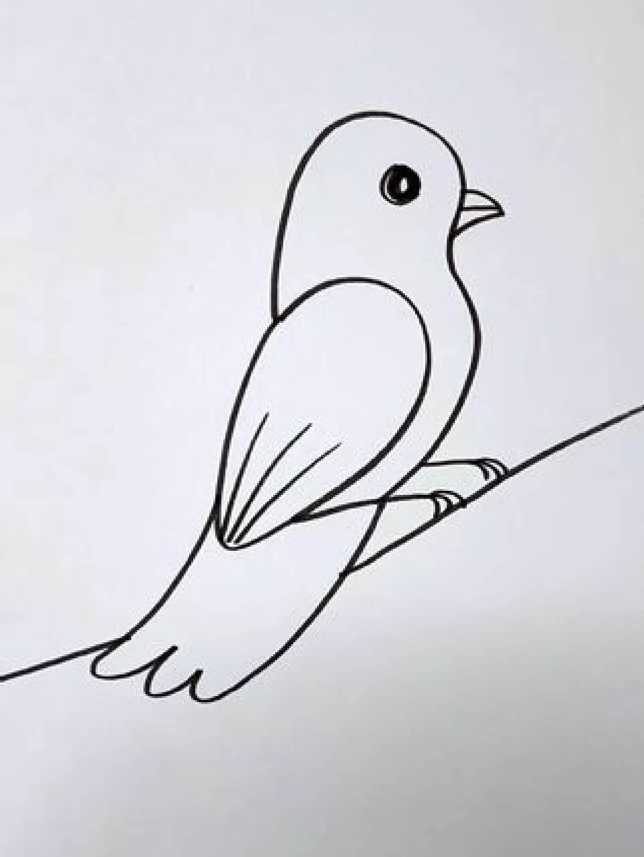 数字简笔画:用2和5画一只鸟,简单又好看#画画 #儿童简笔画