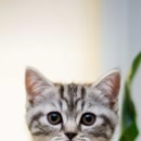 小可爱的小鲜肉ߍ 