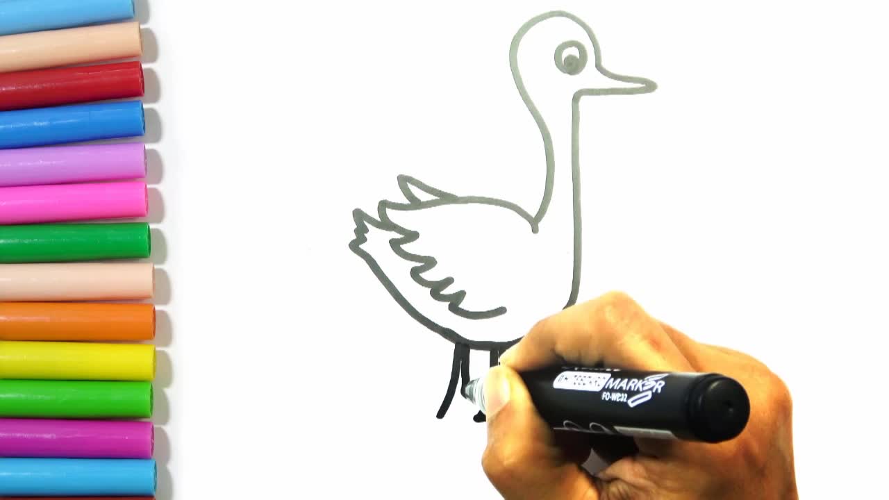 宝宝学画画,简单的几笔画出漂亮可爱的小天鹅,亲子早教