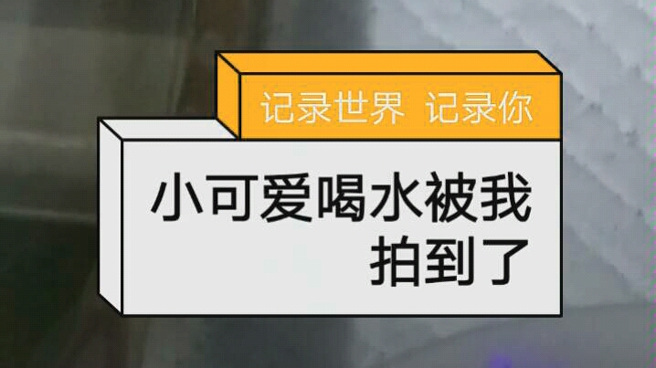 小可爱喝水 咕咚咕咚
