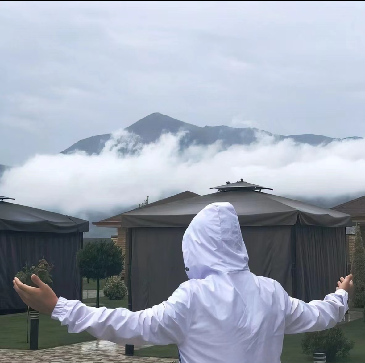 正义的小坏蛋 