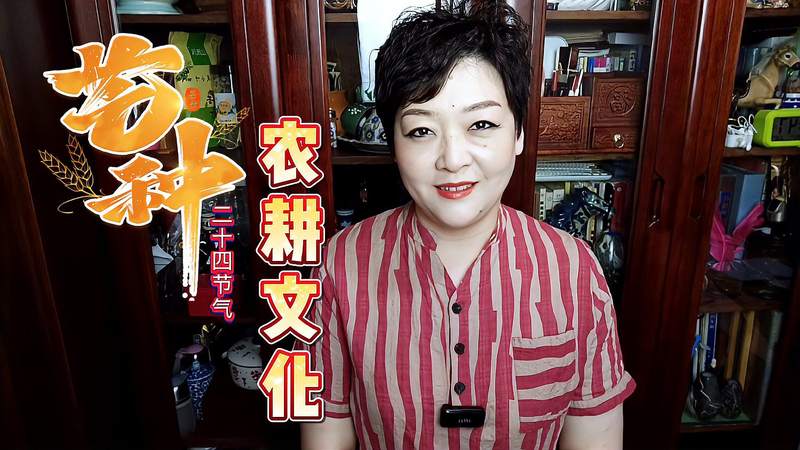 芒种节气,有着什么样的农耕文化,反映了怎样的农事活动呢