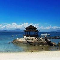 半夏趣光 