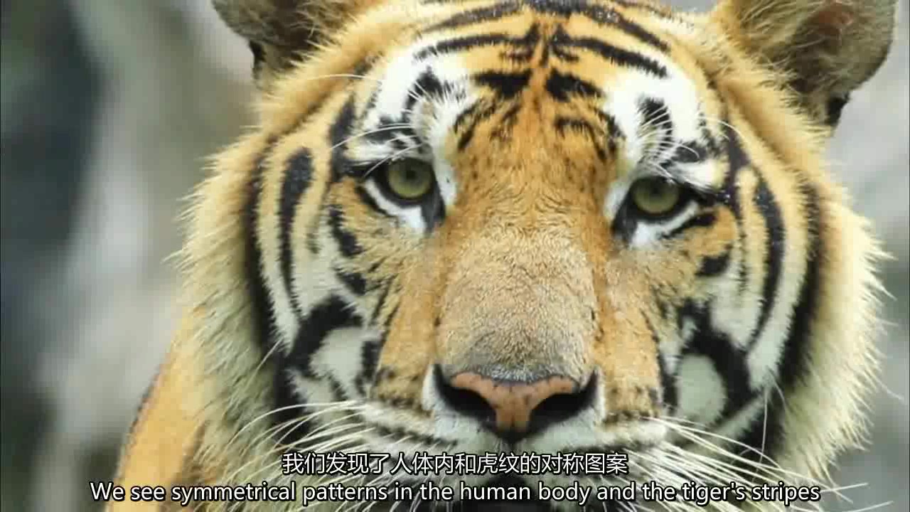 2019.1.31#优选学科#【1】