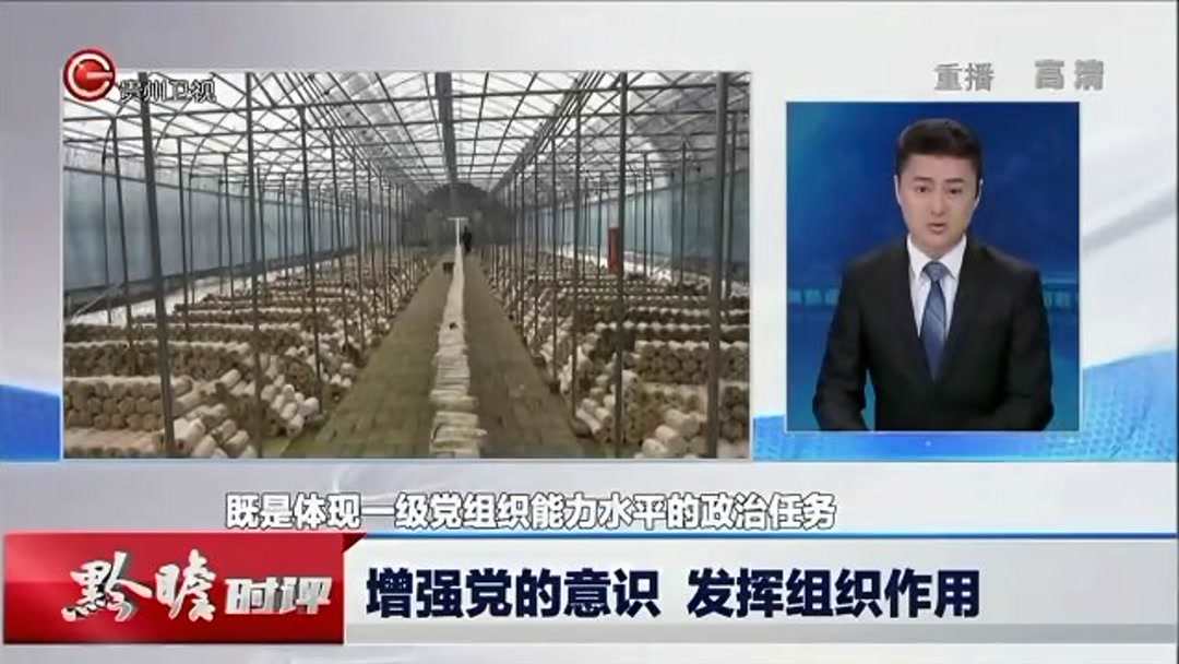 增强党的意识 发挥组织作用