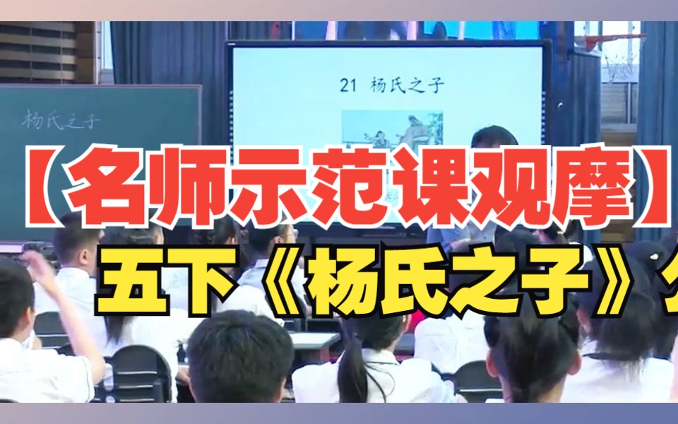 【名师示范课观摩】五下《杨氏之子》公开课教学实录名师示范课执教...