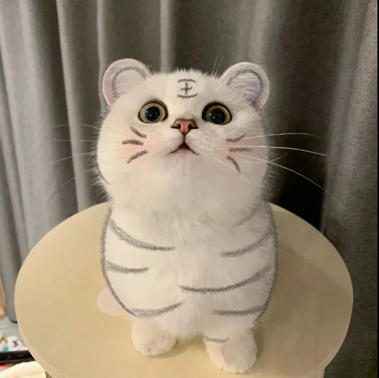 海王星的凡凡 